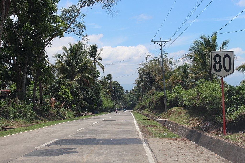Molave–Dipolog Road (N80)
