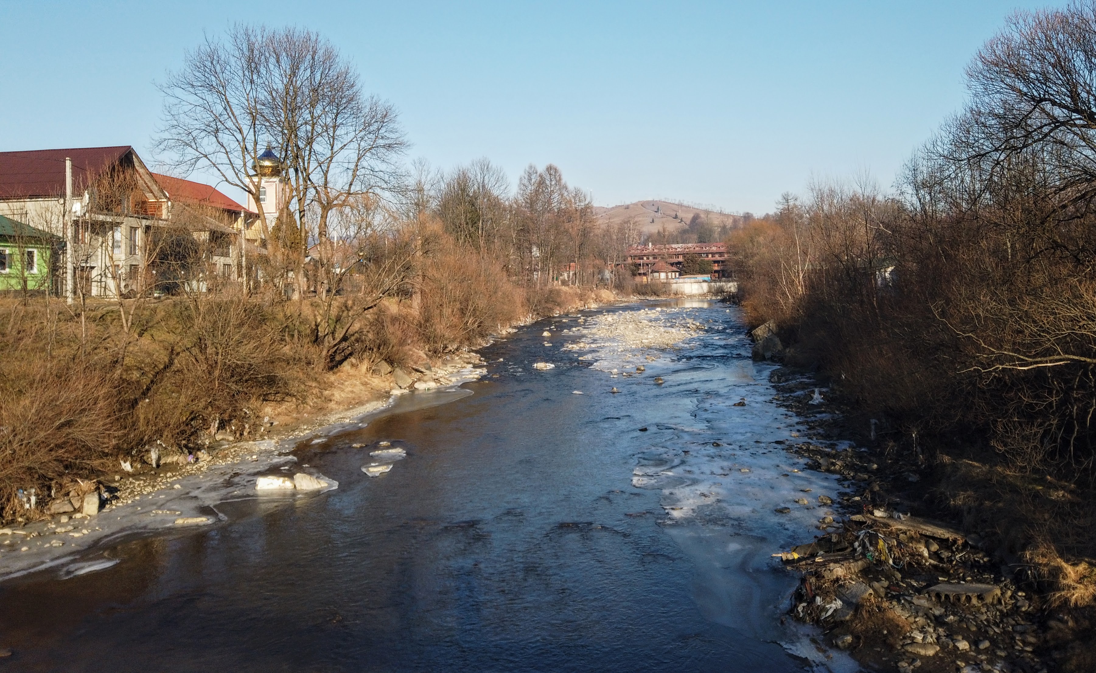 Czarna Cisa
